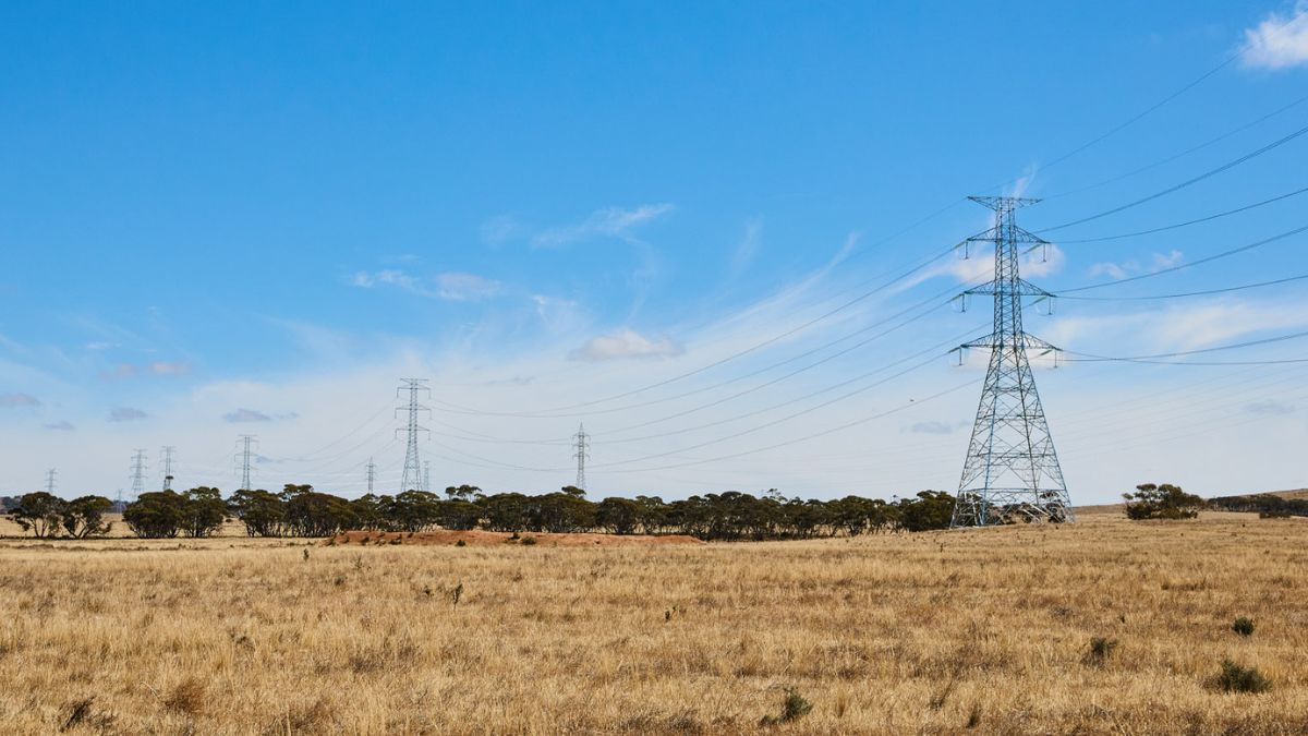 Strong Local Voices Push ElectraNet Away From Prime Cropping Land ...