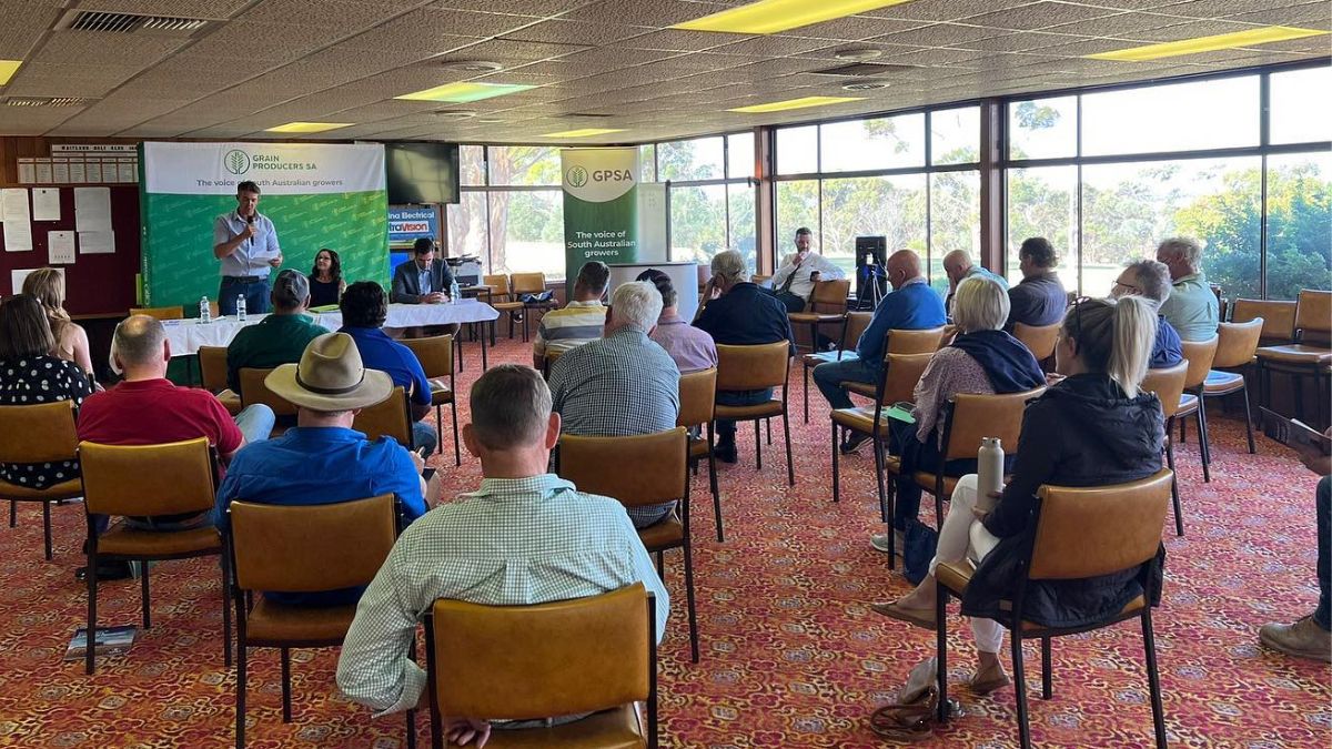 State Election 2026 Archives - Greater SA